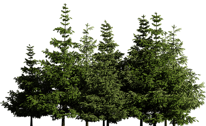 Elizabeth Achenbach Obituary (2009 - 2025) - Cicero, Indiana